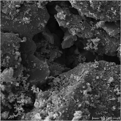 Scanning electron microscope (SEM) photo ofactivated charcoal
