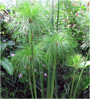 Johns_CoffeeHousePrintingNotes