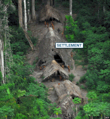Uncontacted Tribes Discovered In Brazil (PHOTOS)